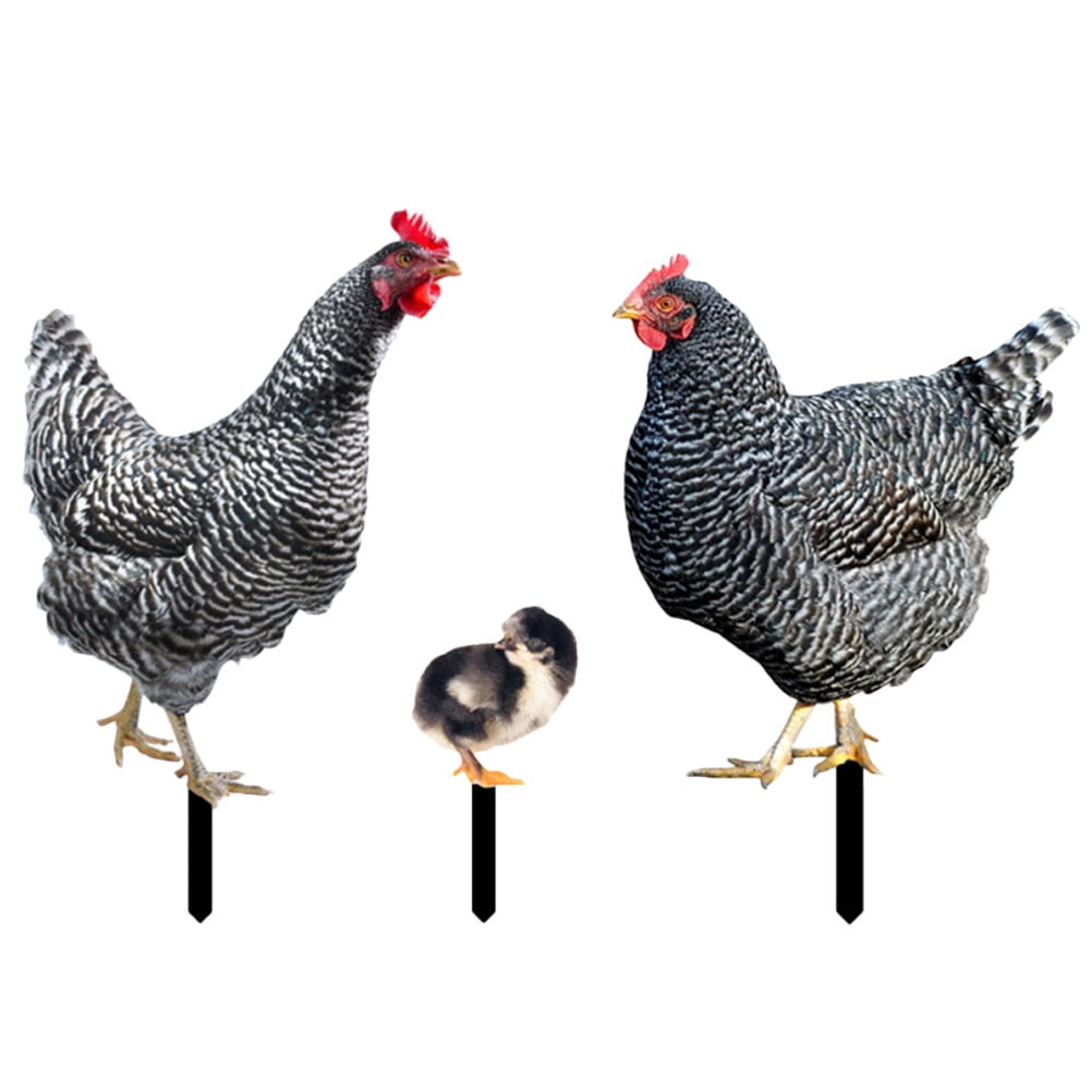 3pcs Acrylic Hen Chick Yard Arts Decorative Chicken Shaped Yard Stake ...