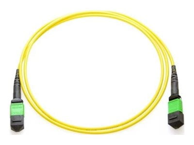 Axiom - Trunk cable - TAA Compliant - MTP/MPO type B single-mode (F) to ...
