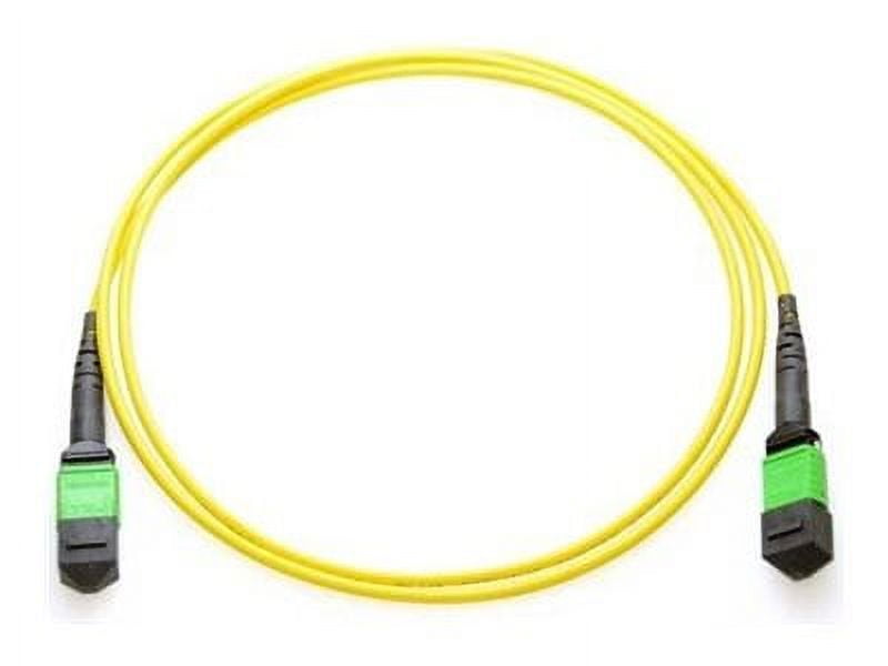 Axiom - Trunk cable - TAA Compliant - MTP/MPO type B single-mode (M) to ...