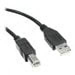 Axiom USB cable - 10 ft - Walmart Business Supplies