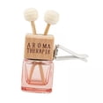 Axioma 3x Empty Car Air Diffuser Vent Clip Auto Perfume Diffuser Bottle ...