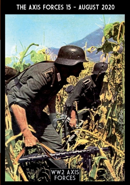 Axis Forces The Axis Forces 15, Book 15, (Paperback) - Walmart.com
