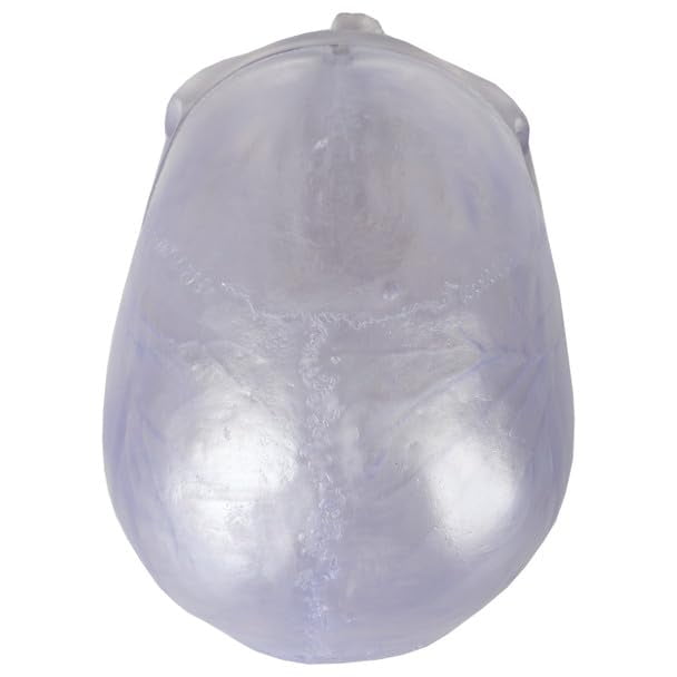 Axis Scientific 3-Part Life-Size Clear Human Skull - Detailed ...