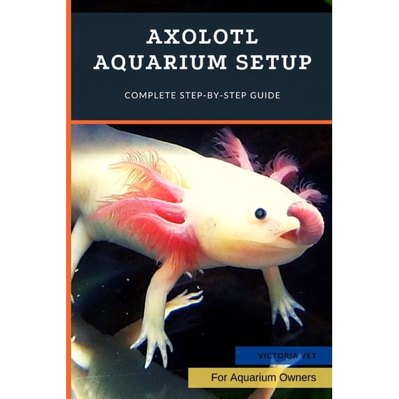 Axolotl Aquarium Setup: Complete Step-by-Step Guide - Walmart.com