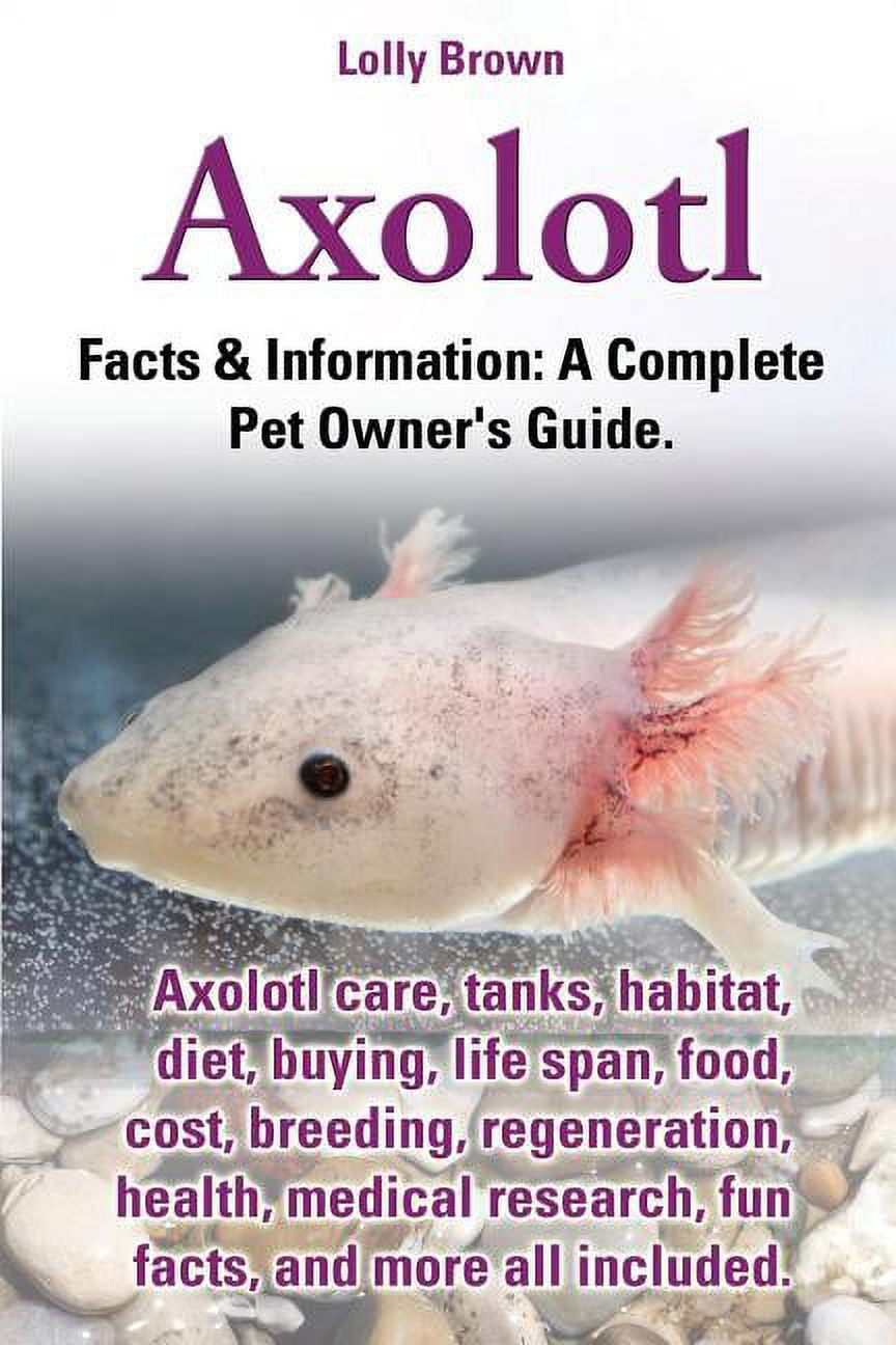 Comprehensive Guide to Axolotl Care, Tanks, Diet, Philippines | Ubuy