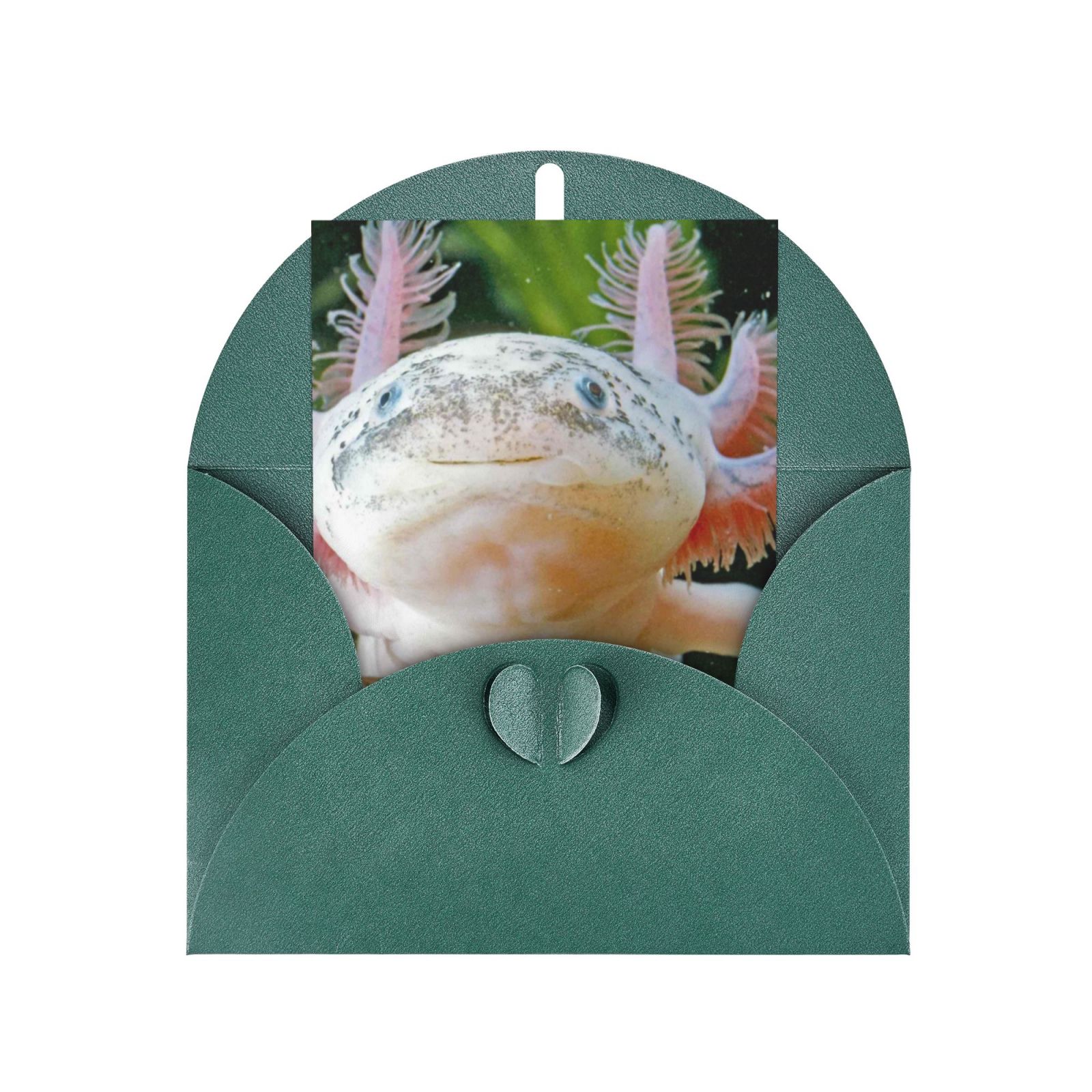 Axolotl Birthday Cards Blank Cards Greeting Card With Envelopes Thank ...