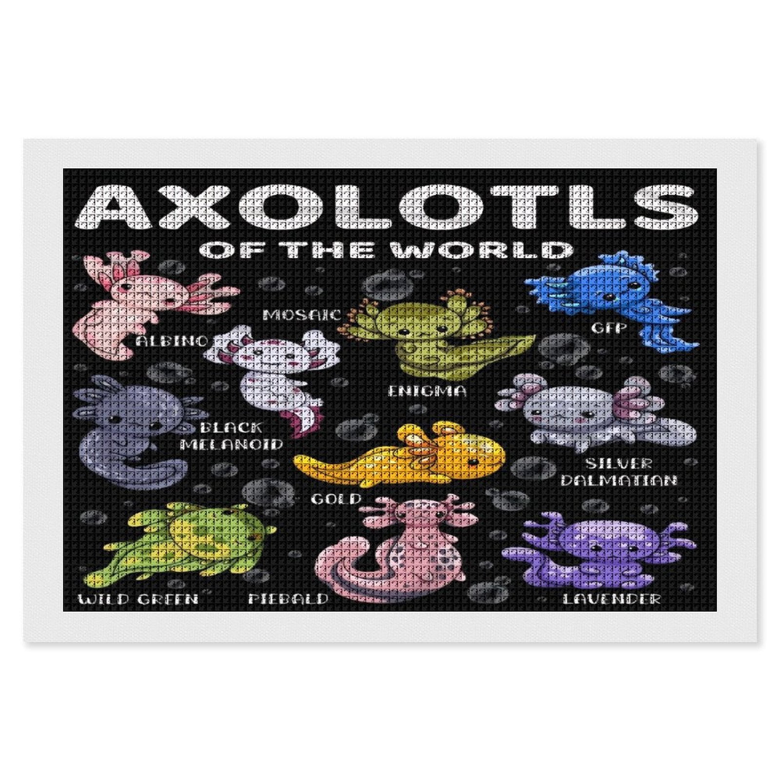 Axolotl Diamond Painting Horizontal (Square Diamond) (Canvas), A Craft ...