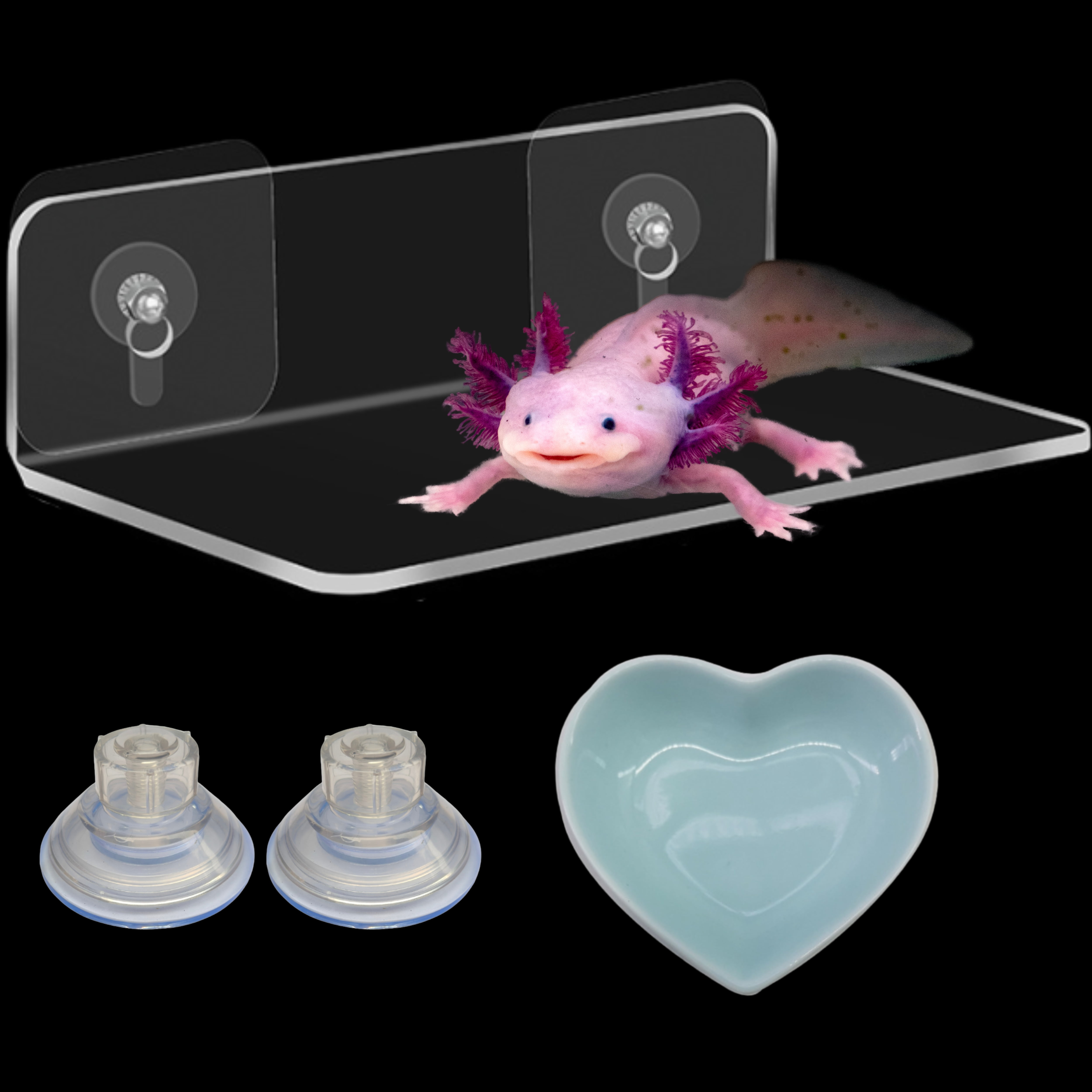 Axolotl Hammock Ledge for Aquarium with Ceramic Feeding Dish, Axolotl ...