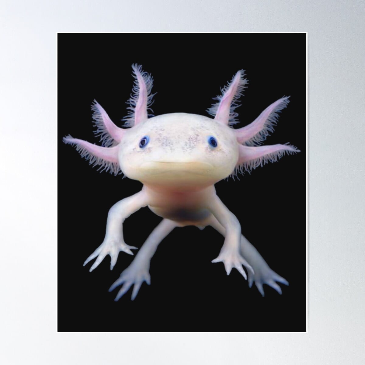 Axolotl Poster Wall Art Modern Wall Decor For Living Room Bedroom ...