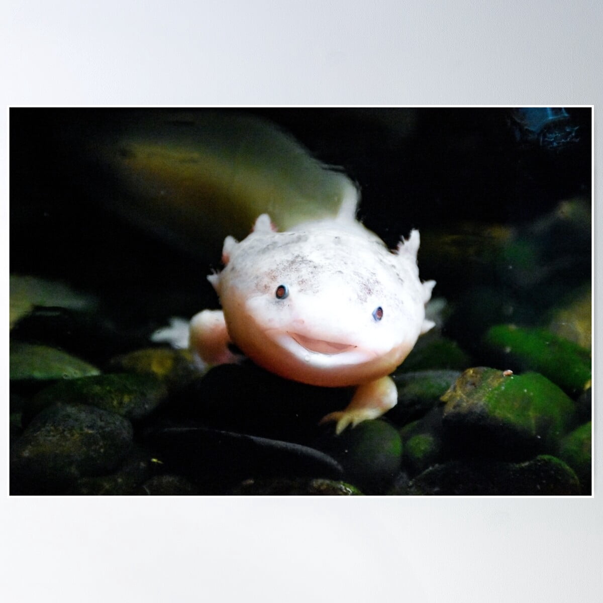 Axolotl Smiling Dabolotl Funny Dubbing Cute Poster Wall Art Modern Wall ...