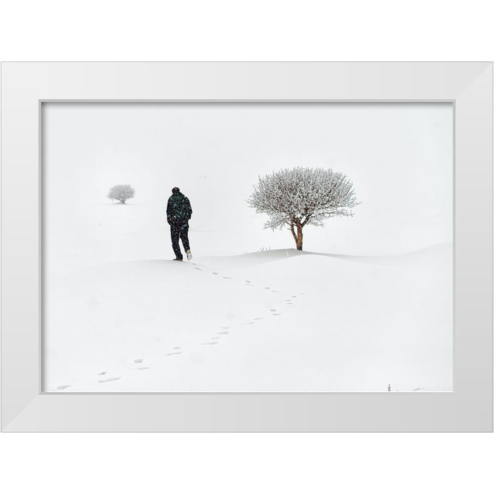 Ayden, Cem 18x14 White Modern Wood Framed Museum Art Print Titled ...