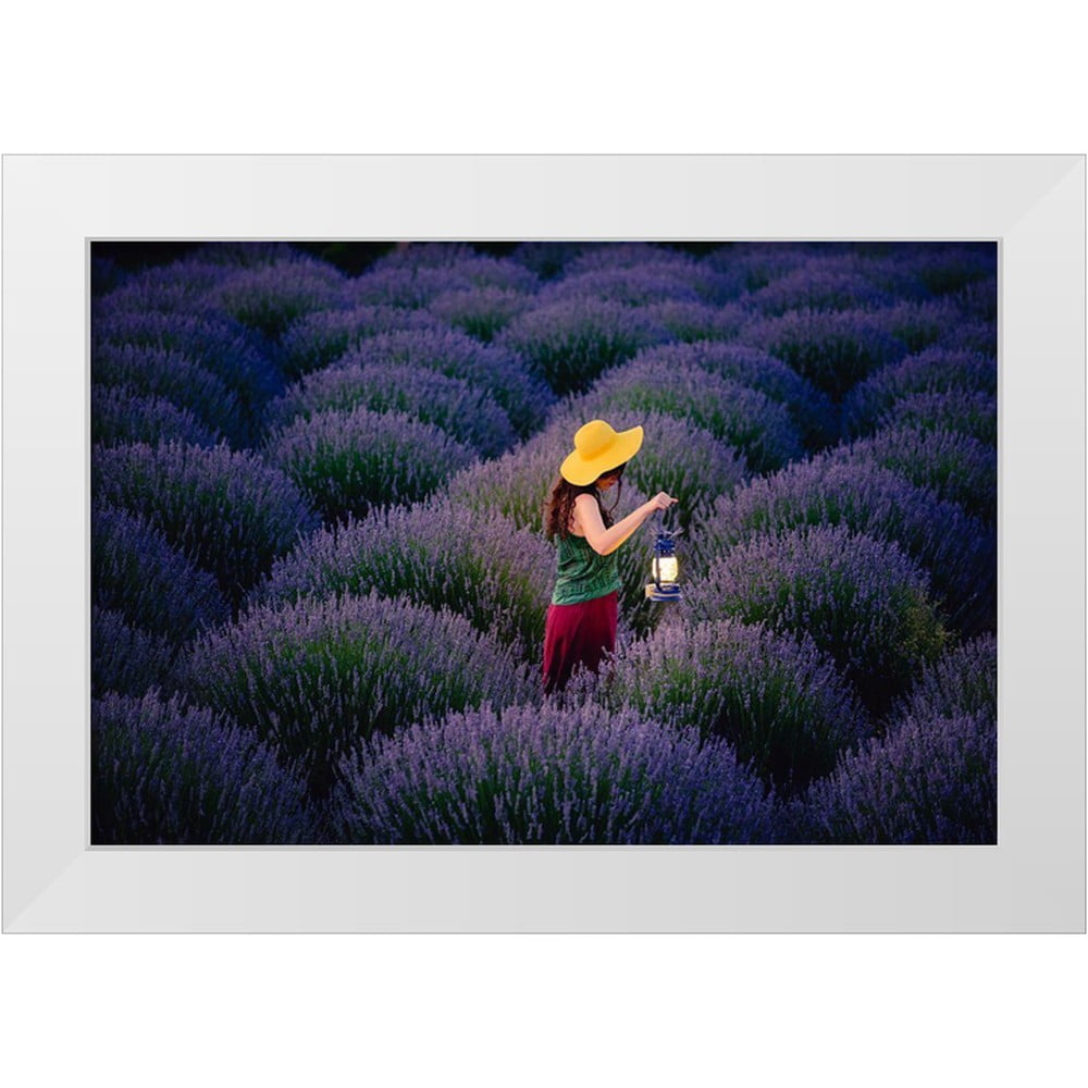 Ayden, Cem 32x23 White Modern Wood Framed Museum Art Print Titled ...