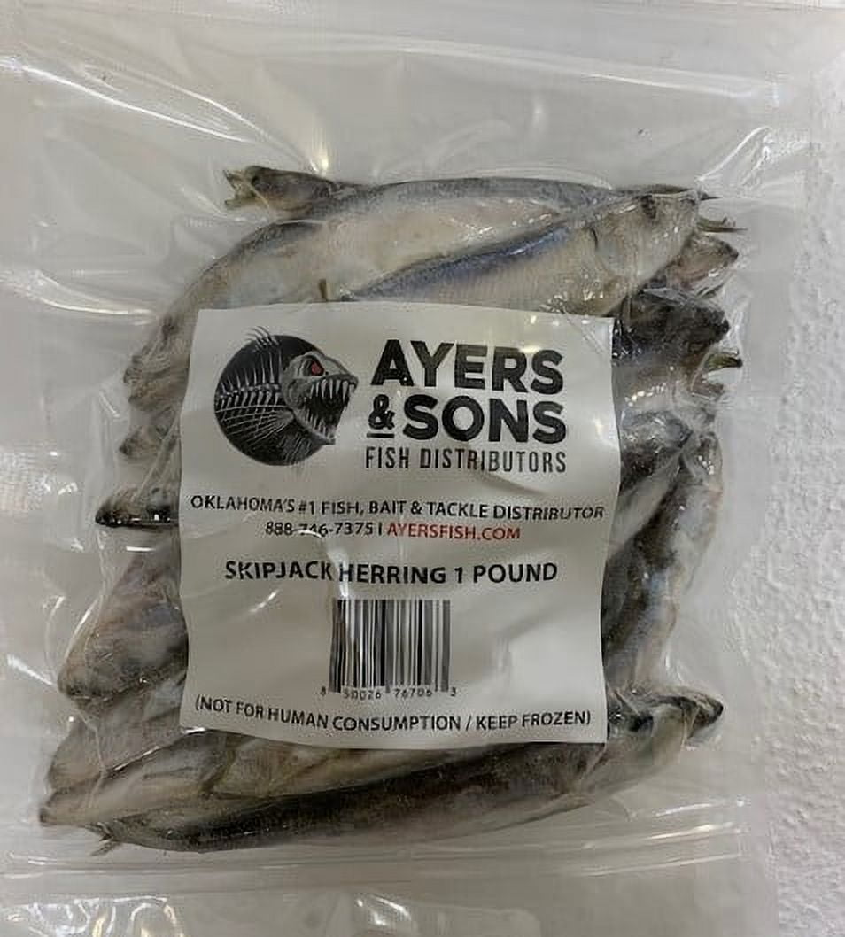 Ayers & Sons Whole Skipjack Herring 1 Pound - Walmart.com