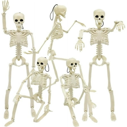 5 ft. Life Size Posable Skeleton Halloween Decoration - Walmart.com