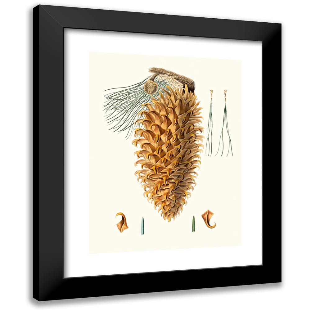 Aylmer Bourke Lambert 14x18 Black Modern Framed Museum Art Print Titled ...