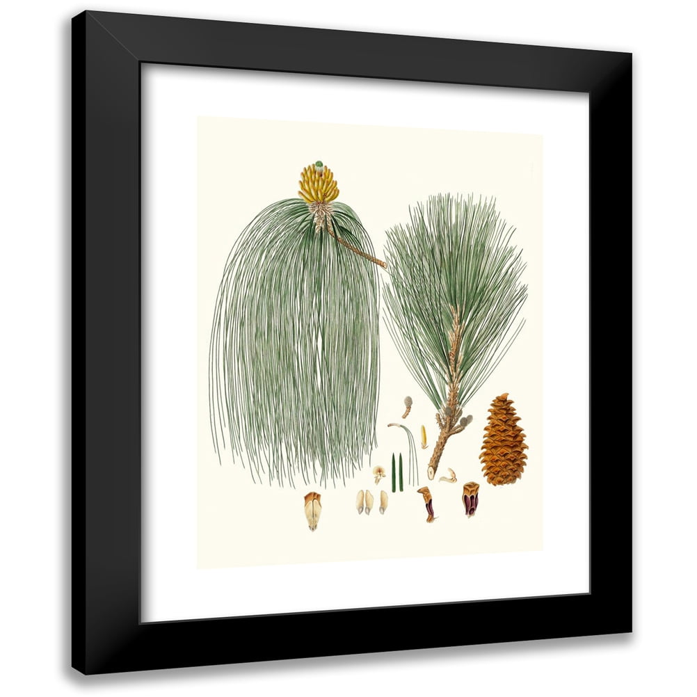 Aylmer Bourke Lambert 15x18 Black Modern Framed Museum Art Print Titled ...