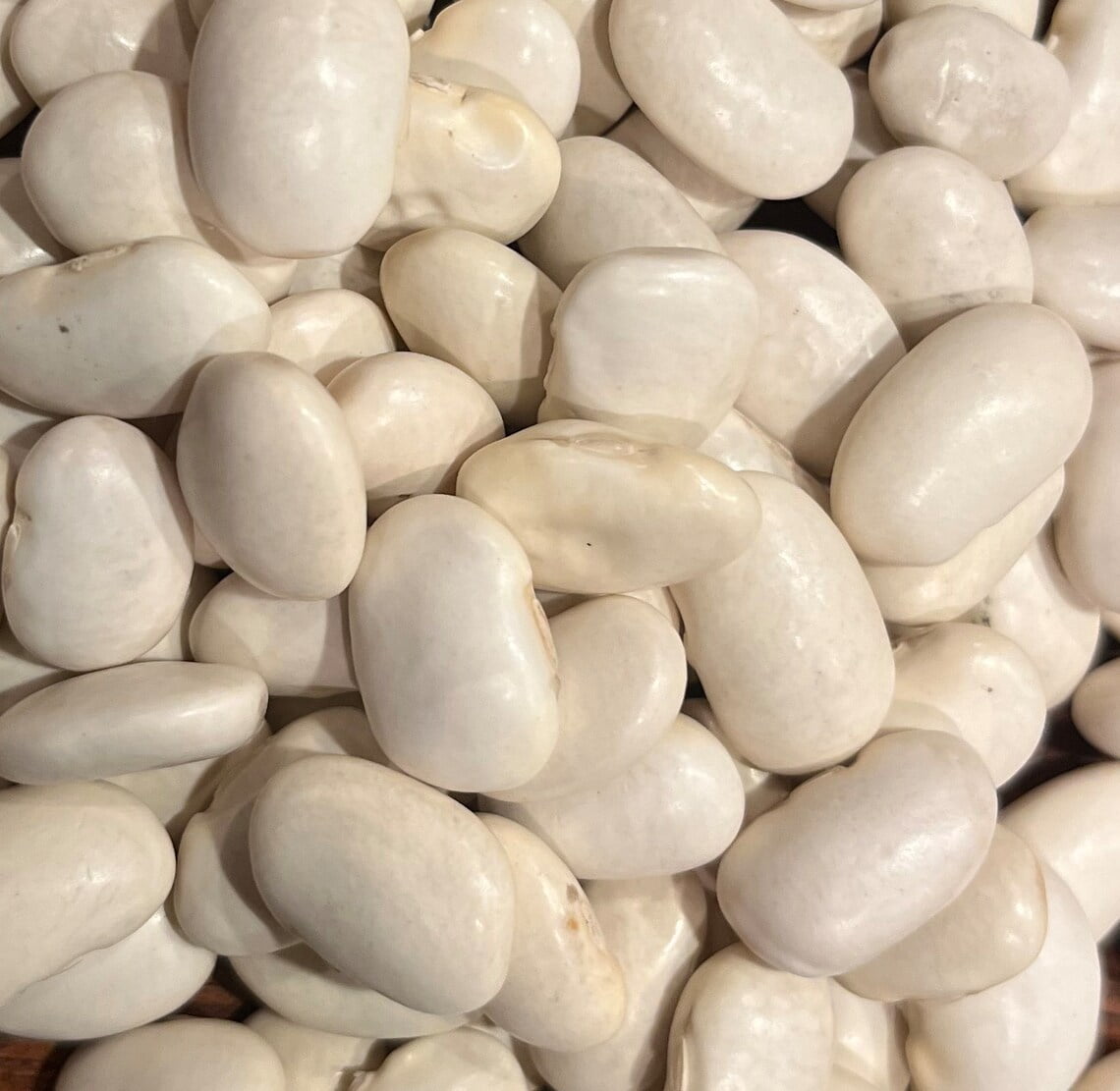 Ayocote Blanco Bean Heirloom Seed Packet - Walmart.com