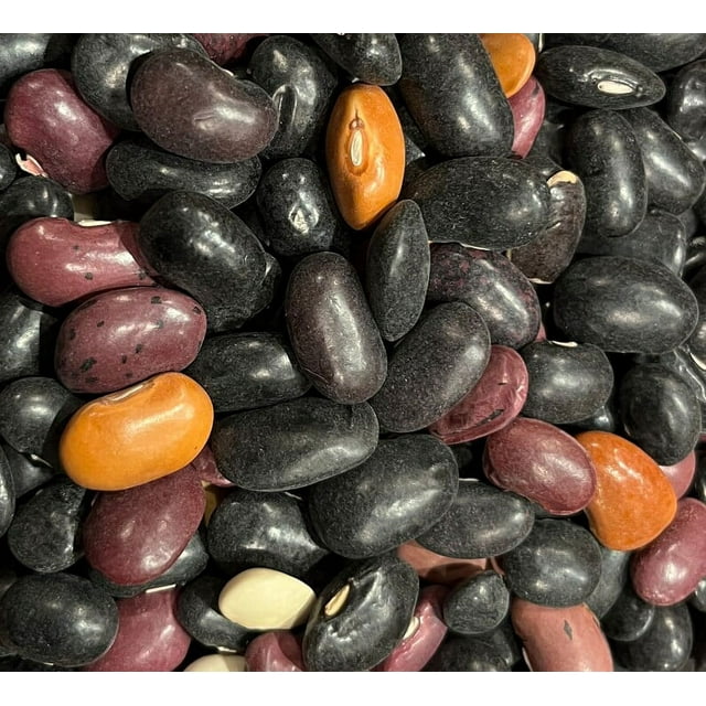 Ayocote Pinto Bean Frijolón Heirloom Seed Packet - Walmart.com
