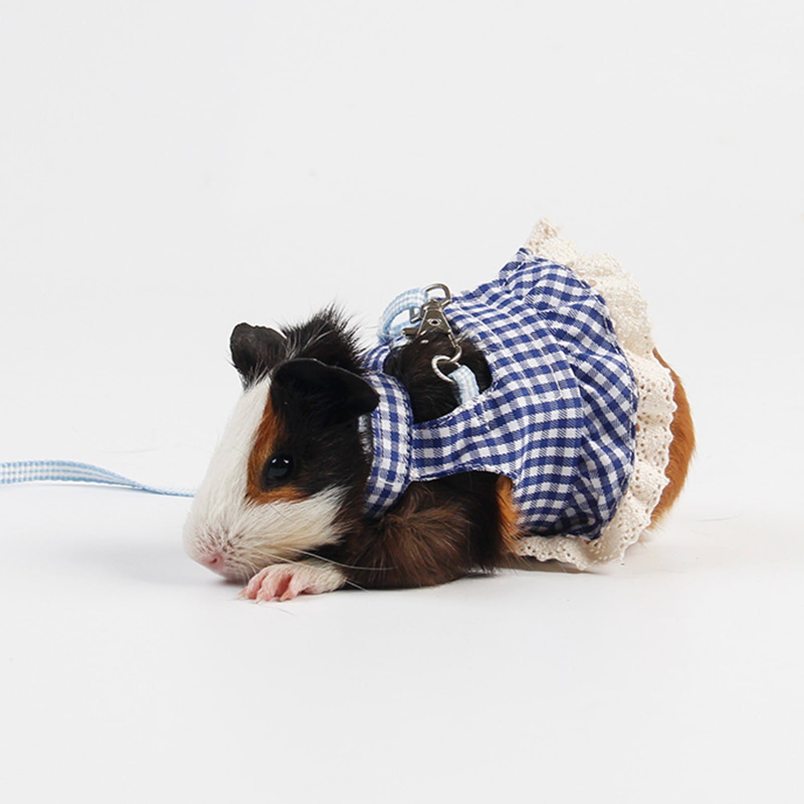 Ayyufe Guinea Pig Clothes 1 Set Walking Lace Edge Premium Ferret Plaid ...