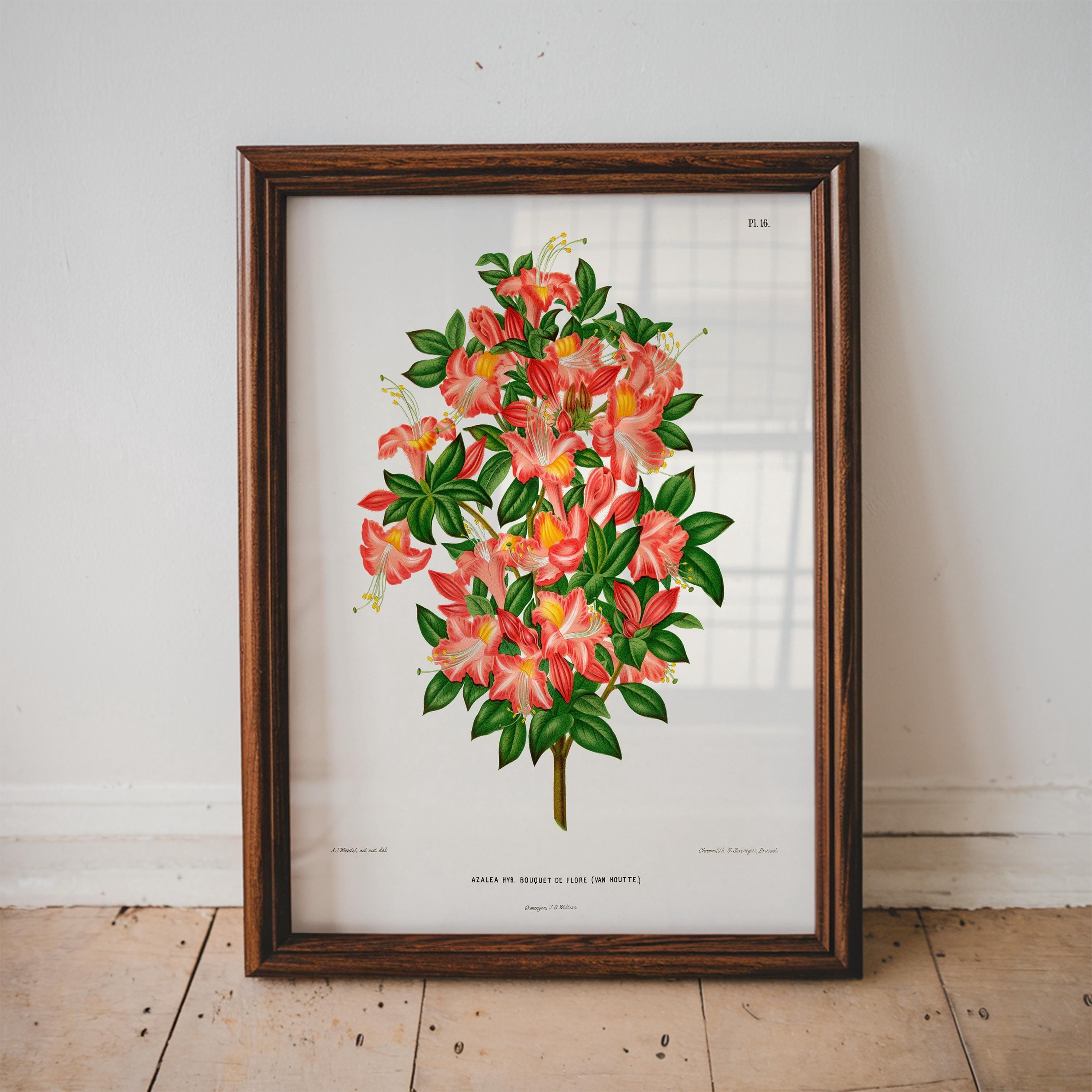 Azalea Bouquet By Abraham Jacobus Wende Wall Art Print Vintage Floral ...