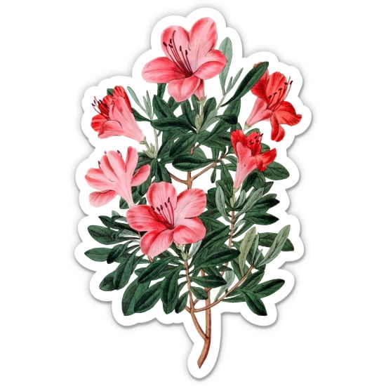 Azalea Flowers - 8" Vinyl Sticker - For Car Laptop I-Pad - Waterproof ...