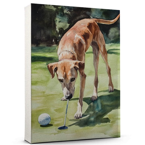 Azawakh Dog Canvas Golf Stretched Canvas Size 8x12 – Funny Azawakh Dog ...