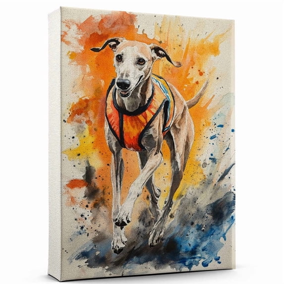 Azawakh Dog Stretched Canvas Size 8x12 – Running Canvas Print of Funny ...