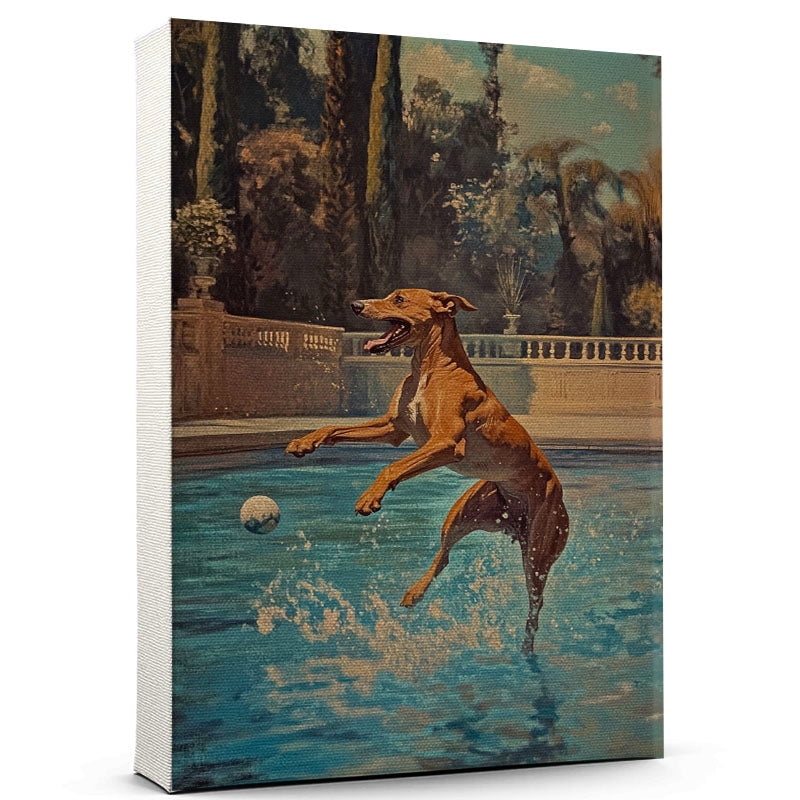 Azawakh Dog Stretched Canvas Size 8x12 – Swimming Canvas Print of Funny ...