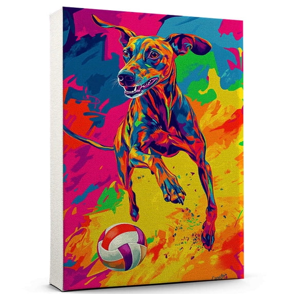 Azawakh Dog Stretched Canvas Size 8x12 Volleyball Canvas – Cute Azawakh ...