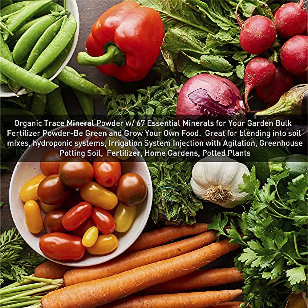 Azomite Raw Supply Organic Trace Mineral Powder 44LB Micronized, White ...