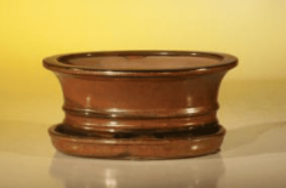 Aztec Orange Ceramic Bonsai Flower Pot - Oval Professional Series with ...