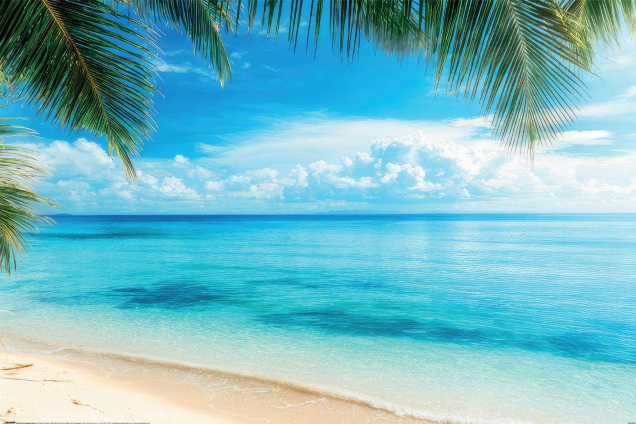 Azure Ocean View - Nature Poster (Paradise Palmtree Beach) (Size: 36" x ...