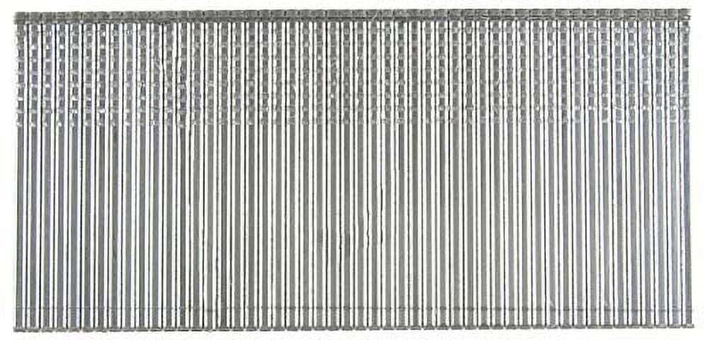 B&C Eagle B162SS-1M 2-Inch x 16 Gauge S316 Stainless Steel Straight ...
