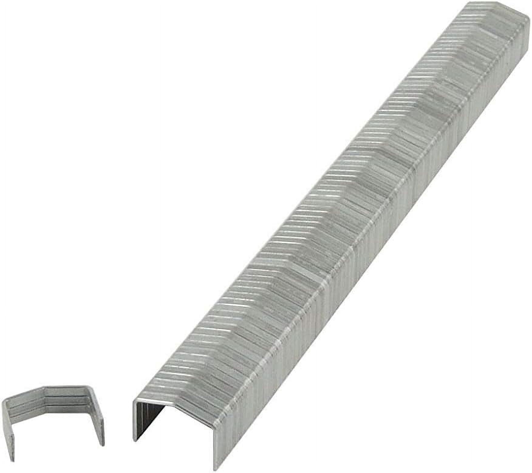 B&C Eagle STCR5019-38 3/8-Inch Length x 20 Gauge Galvanized Fine Wire ...