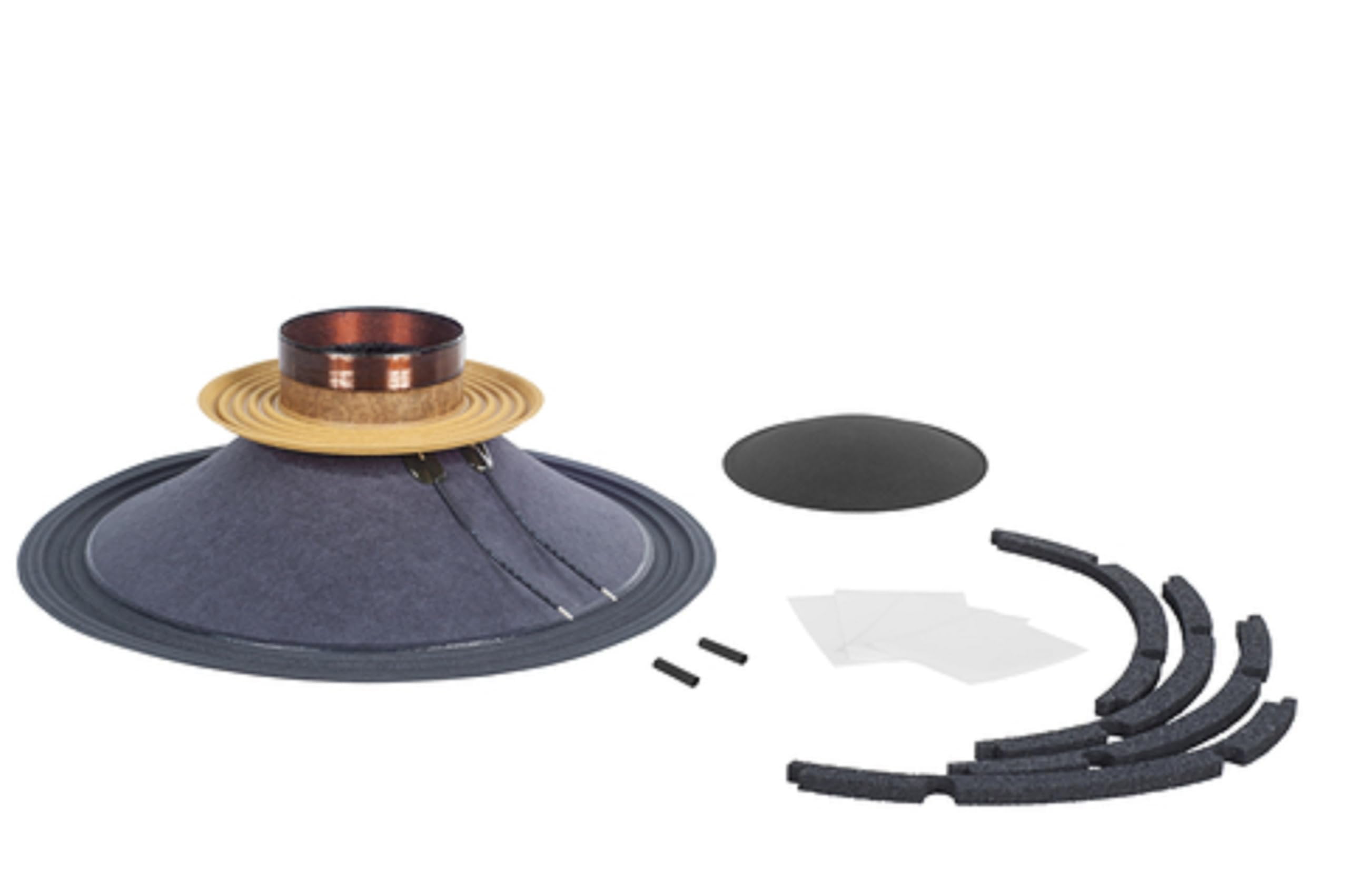 B&C Speakers RCK012MH328 12-inch Recone Kit for 12MH32 8-Ohm 800 Watts ...