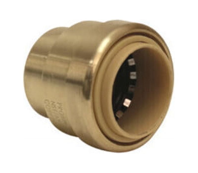 B&K Mueller 6633-004 3/4 Inch Push Tube Cap,Each - Walmart.com