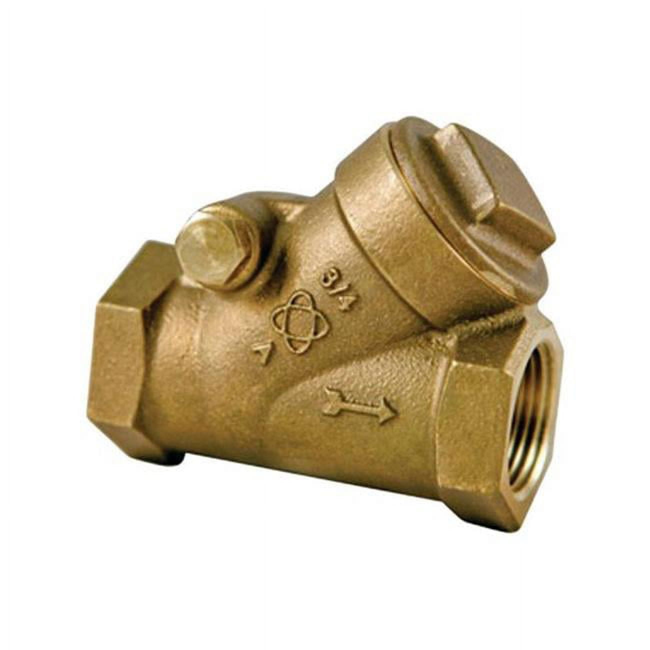 B & K NL74WX8 Swing Check Valve Threaded 0.75 in. - Walmart.com