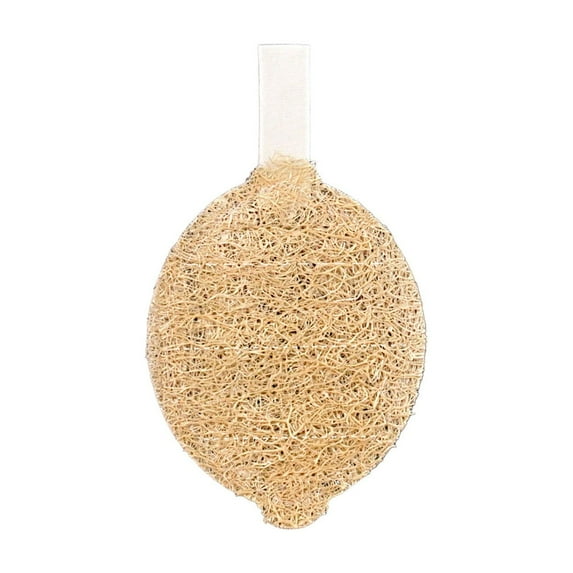 B Loofah Dishwashing Brush Natural Double Sided Scouring Pad Kitchen ...