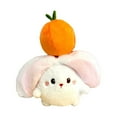 B Lucky Persimmon Transforming Rabbit Plush Toy Cute Soft Stuffed ...