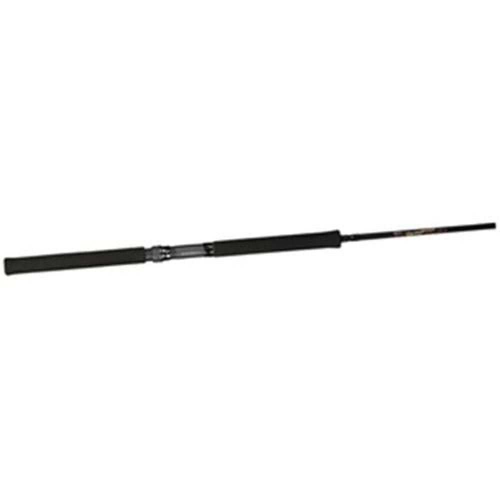 B&M BGJP163n Bucks Grap Jig Pole 16' 3-Piece Freshwater Spinning ...