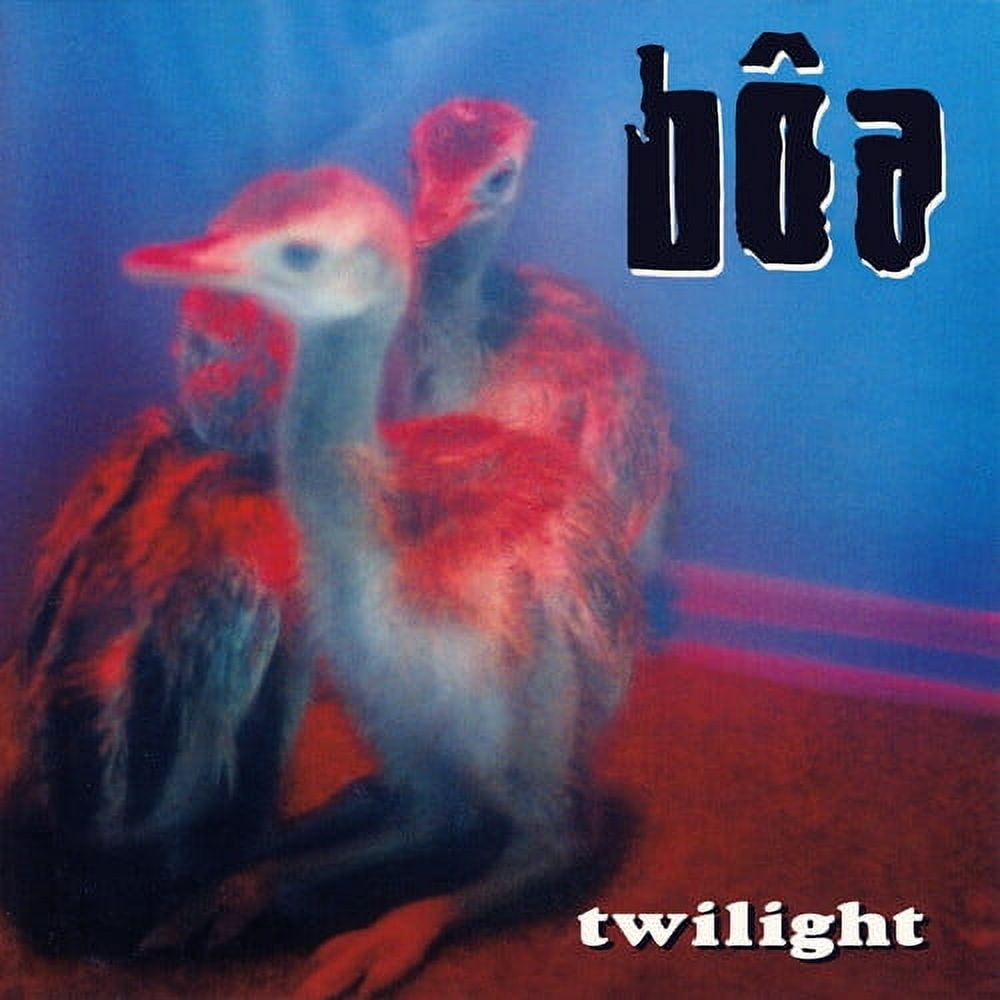 Bôa - Twilight - Music & Performance - Vinyl - Walmart.com