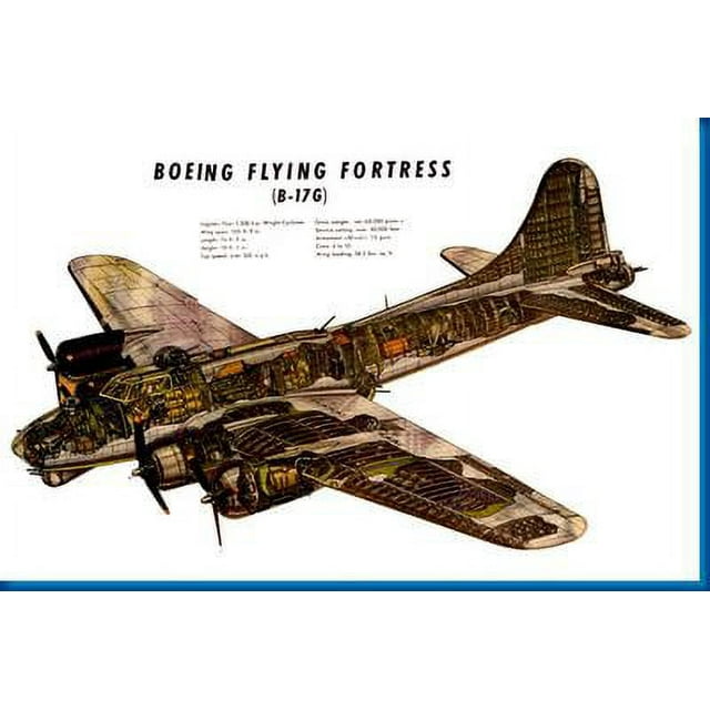 B17G Cutaway Military Aircraft Poster 16in x 24in 16x24 Multi-Color ...