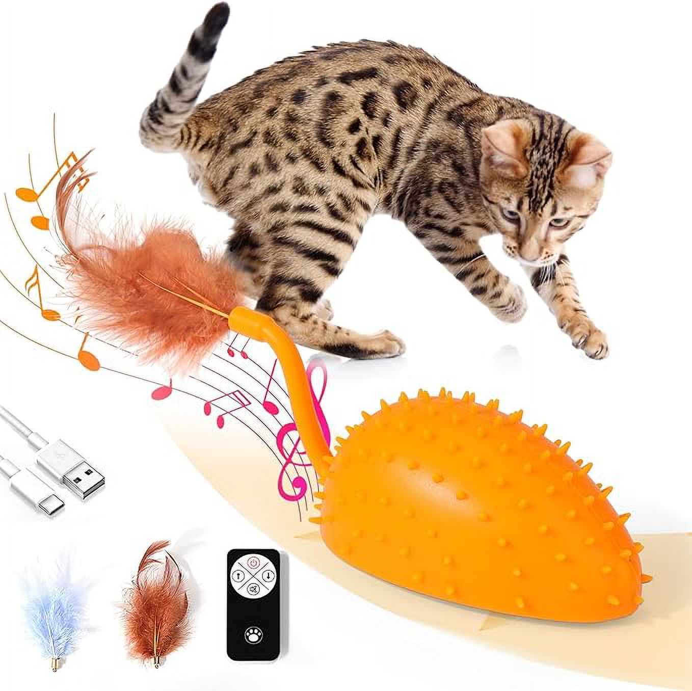 BABORUI Upgraded Cat Interactive Toy, Remote Control Mouse Toy ...