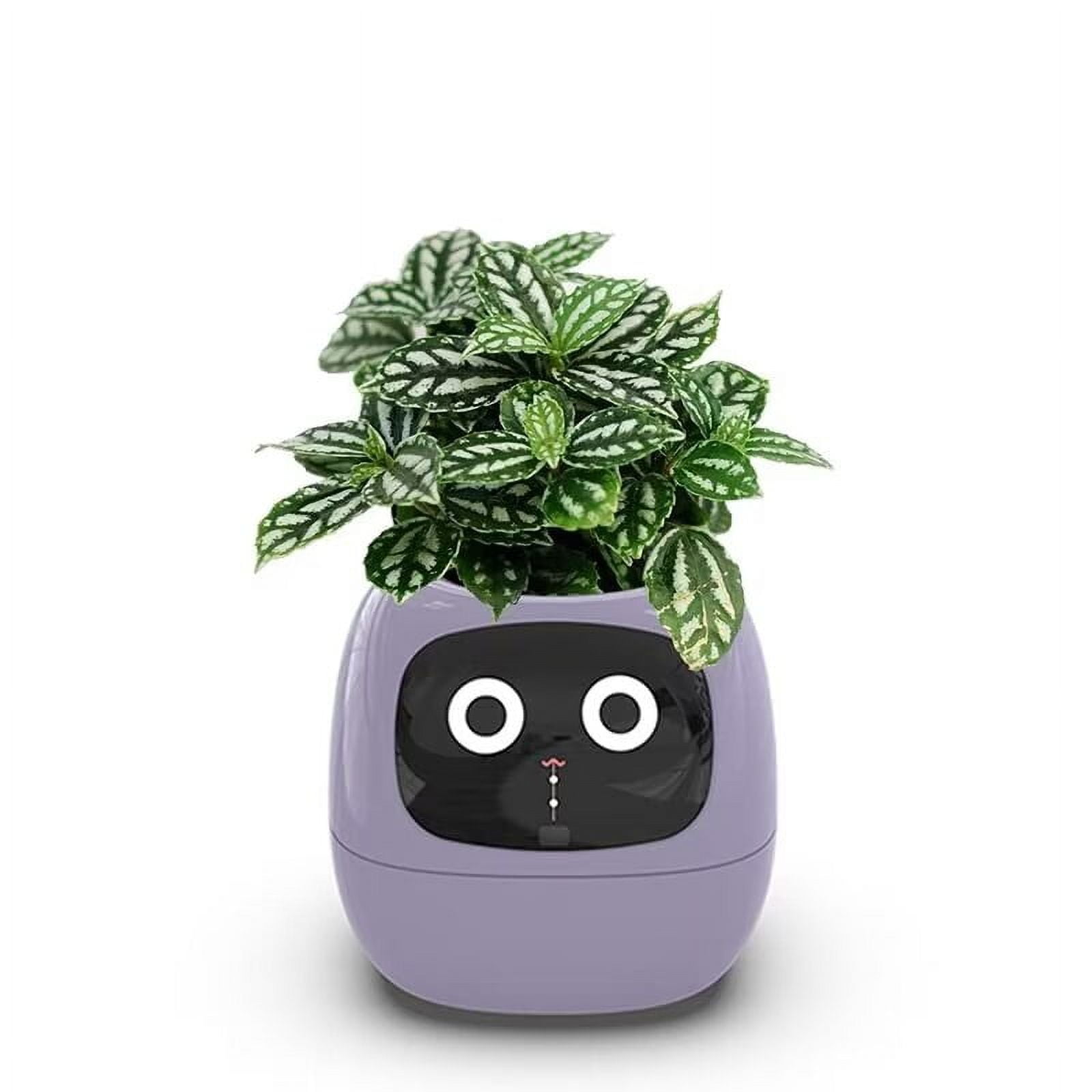 BABSMULY Smart Pet Flowerpot, AI Flowerpot, Multiple Expressions With ...