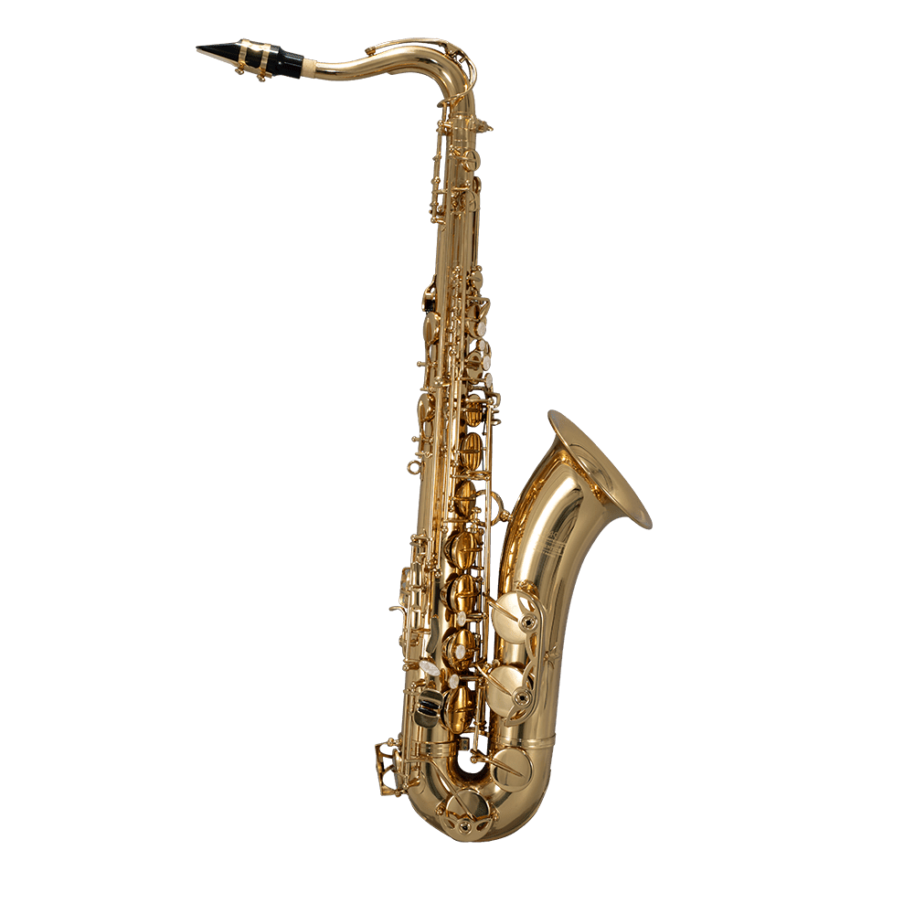 BAC Musical Instruments Apprentice Tenor Saxophone, Beginner, Gold ...