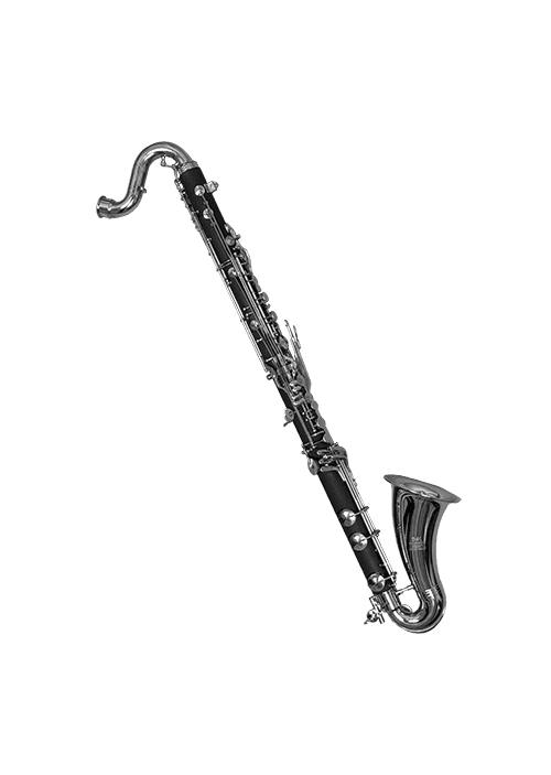 BAC Musical Instruments "Select" Bass Clarinet - Black, New, Woodwinds ...