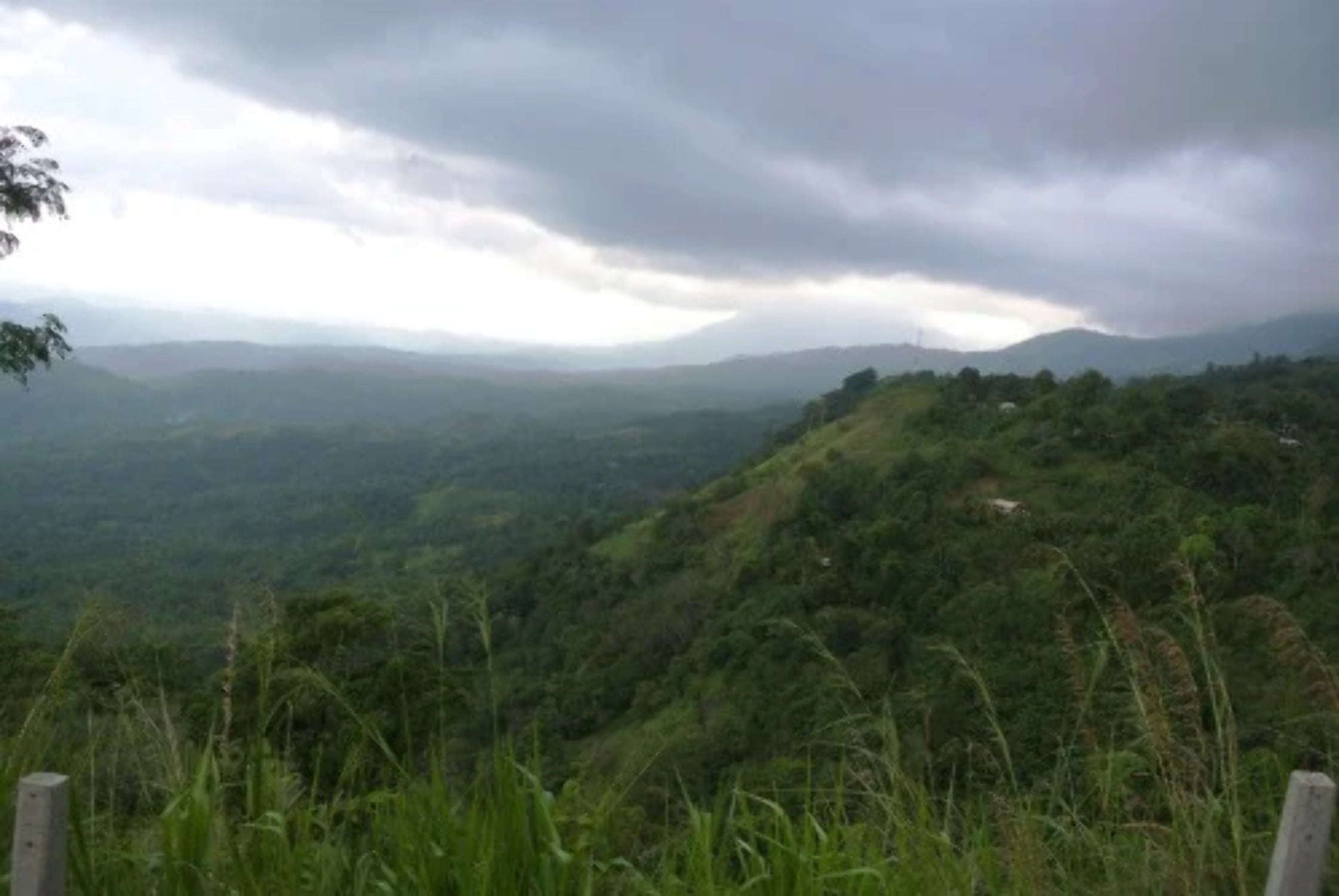 BADULLA HILLS RAINFOREST GLOSSY POSTER PICTURE BANNER PRINT PHOTO sri ...