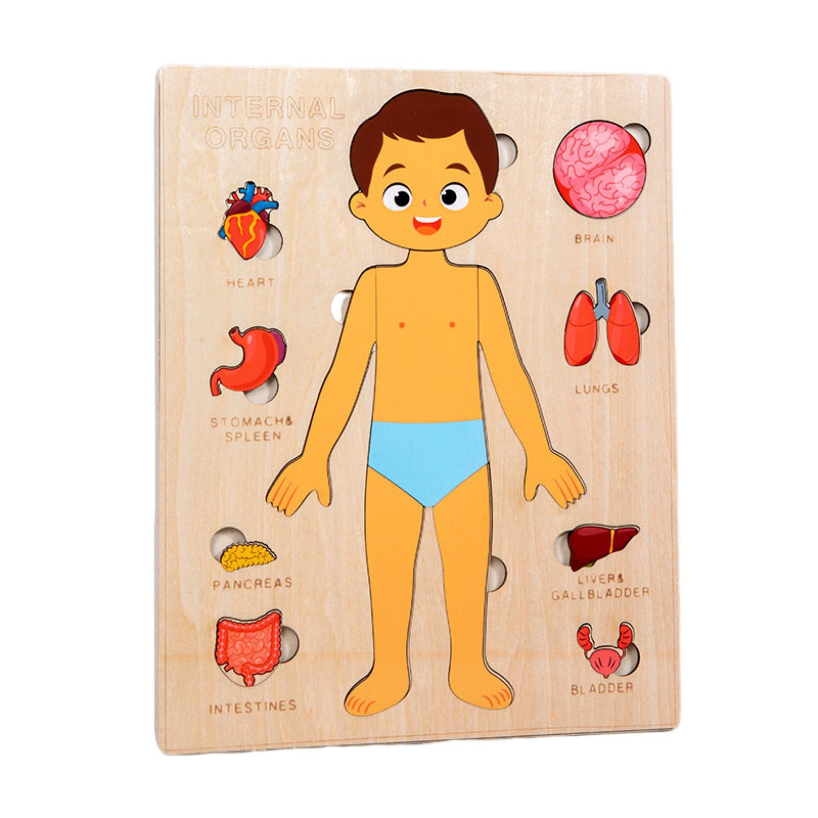 BAELLERT Body Parts Puzzle Matching Game Educational Human Body ...