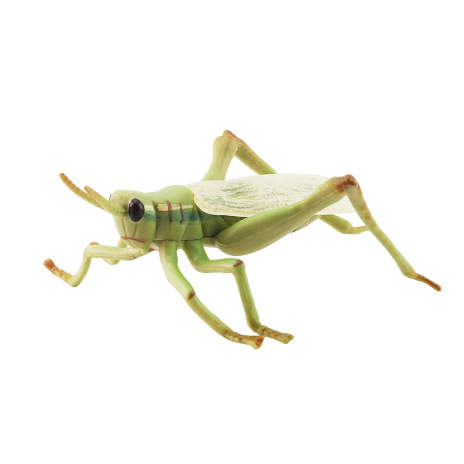 BAELLERT Insect Model Vivid Look Grasshopper Dragonfly Frog Miniature ...