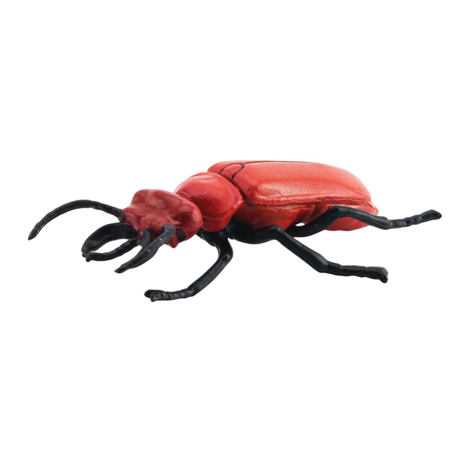 BAELLERT Insect Model Vivid Look Grasshopper Dragonfly Frog Miniature ...